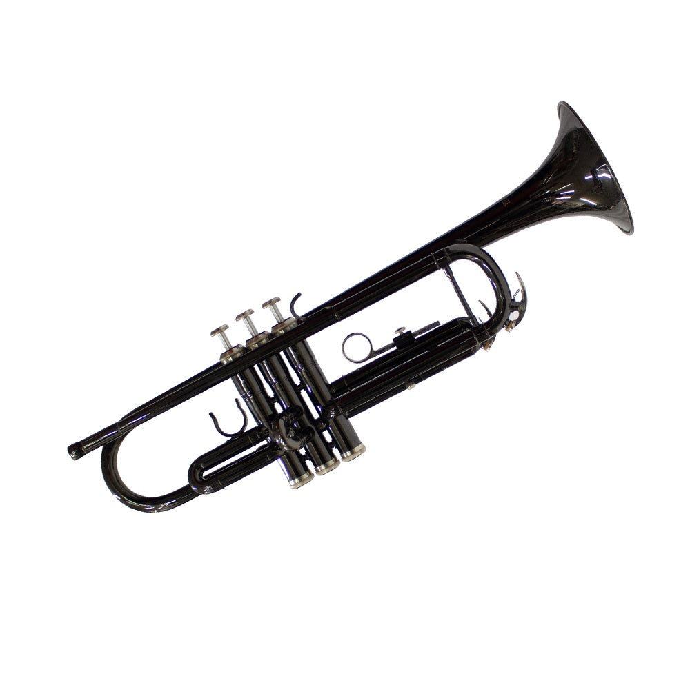 FT 6418 L Fontai Trompeta de bronce Color Negro – ImportAudio